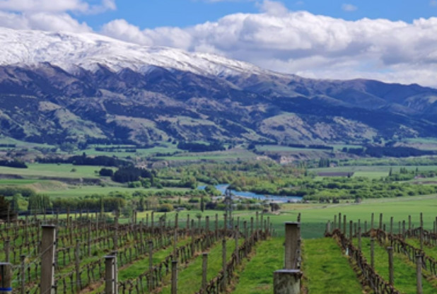 Jascots expands New Zealand portfolio with Prophet’s Rock - Harpers ...