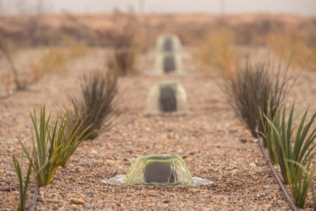 Raimat launches largest natural European gravity-based water treatment ...